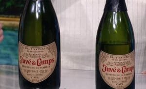 The Sparkling Wine: History, Types And Characteristics