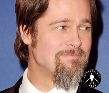 Brad Pitt Goatee Beard
